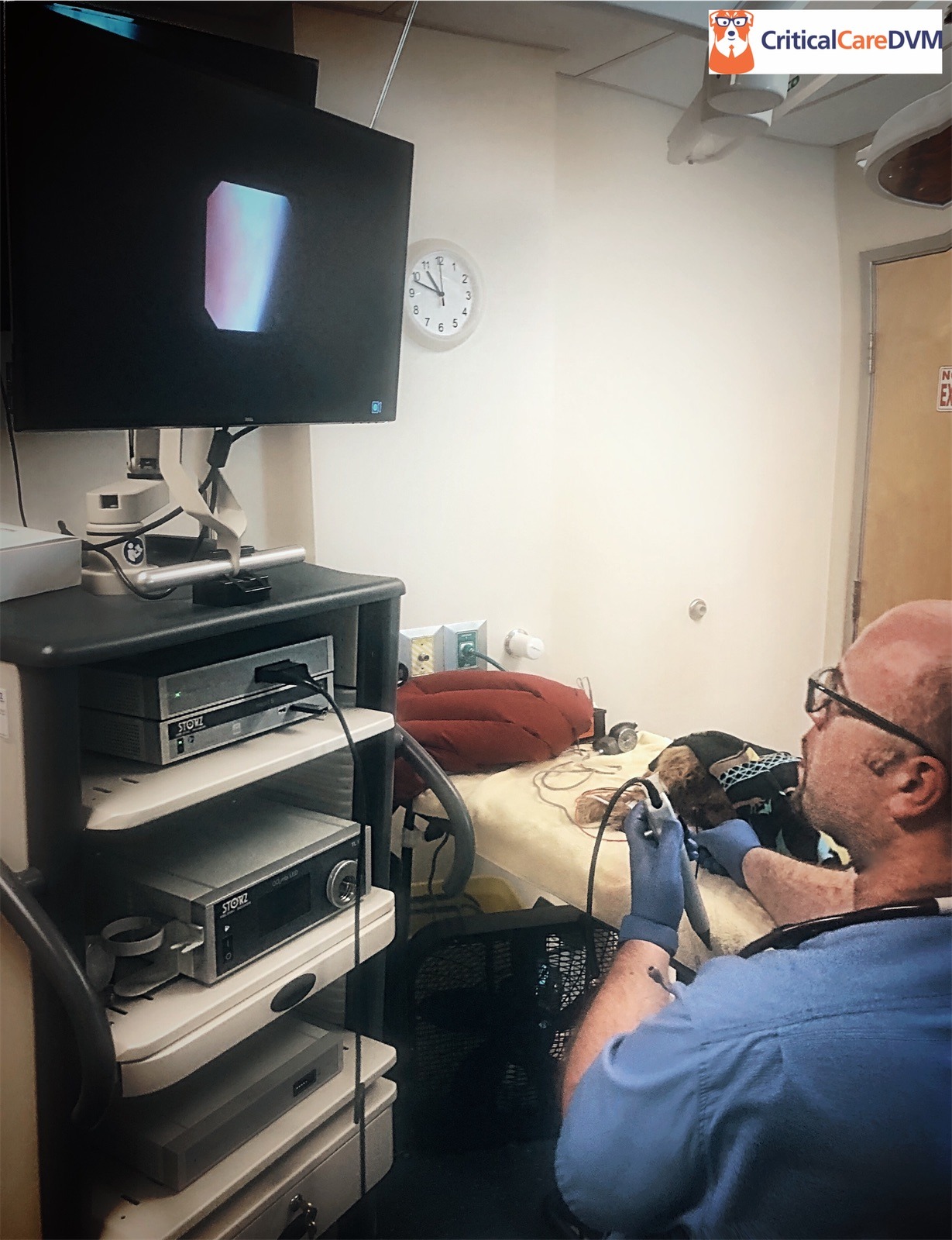 Cystoscopy - A Look Inside the Lower Urinary Tract